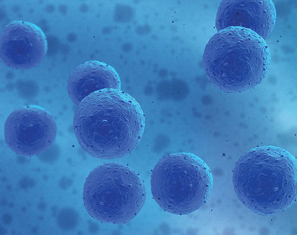 MN Epilepsy Group | Focused expertise. Comprehensive care.